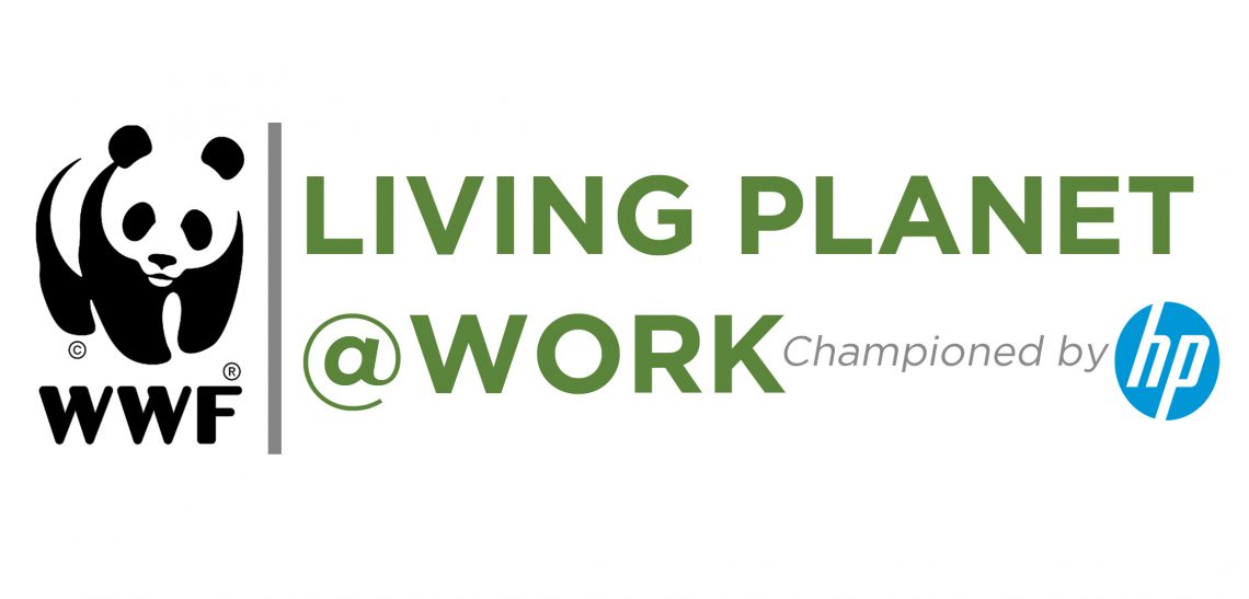 Adrienne Lo from WWF-Canada describes her meaningful job in nonprofit